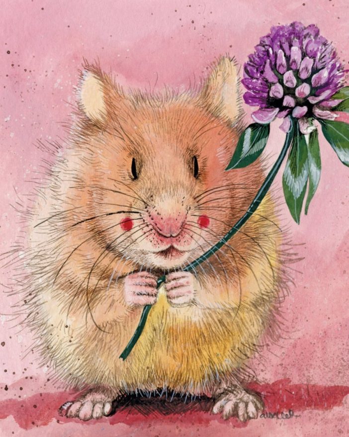 Let’s Meet England’s (not scary!) Mice - England, Naturally