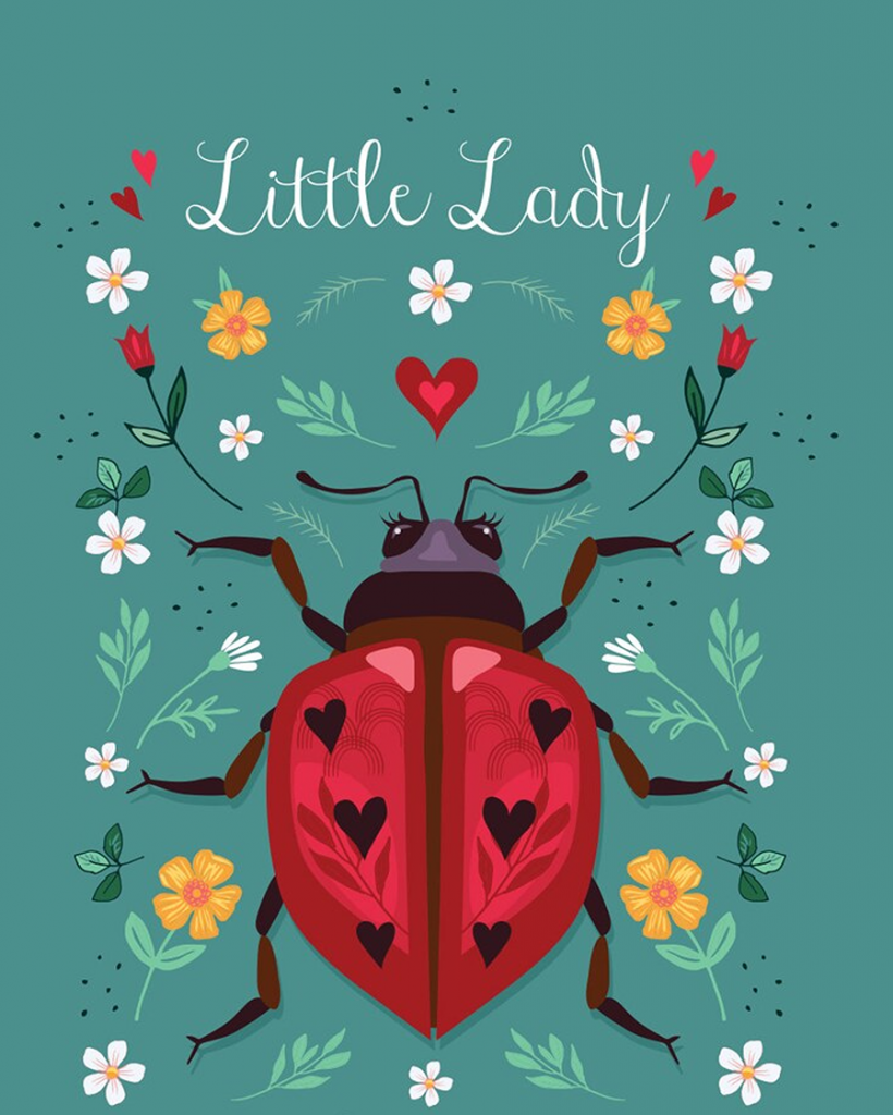 England’s Lovely Ladybirds (how to help them) – England, Naturally